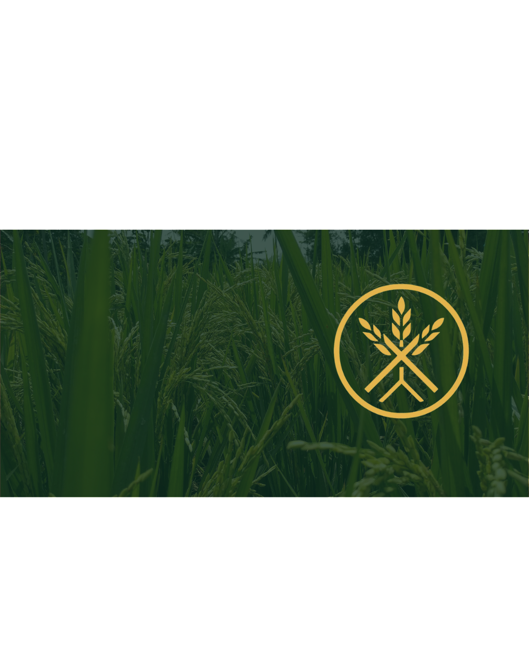 AgriX | Smart Agri-Tech Platform